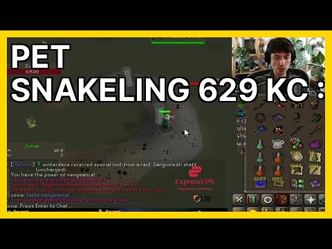 Pet Snakeling 629 KC :) (coxie) | OSRS Highlights - YouTube
