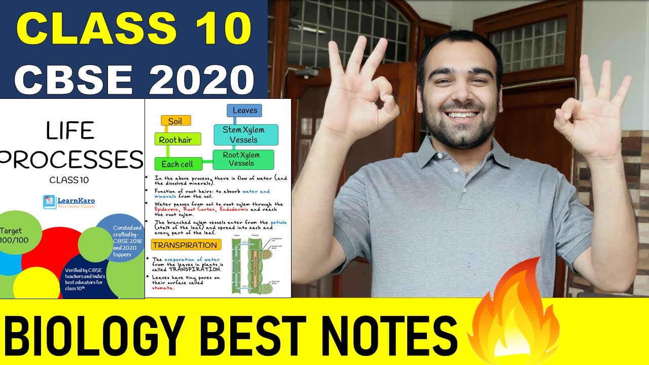 Best Biology Notes For Class 10 Board Exams | Chapter 1 Life Processes ...