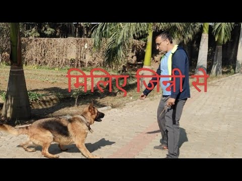 Jenny Dog Grooming + Farm Vegetables Tour | हमारा Farm House Lifestyle #farmhousevlog #farmhouse