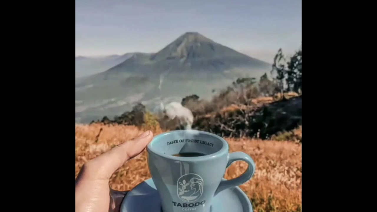 Kopi di gunung - YouTube