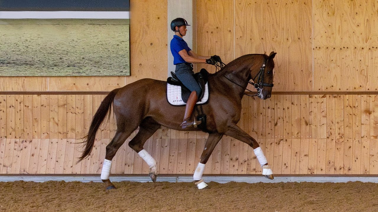 FÜRST JAZZ X ZONICK X ZACK - YouTube