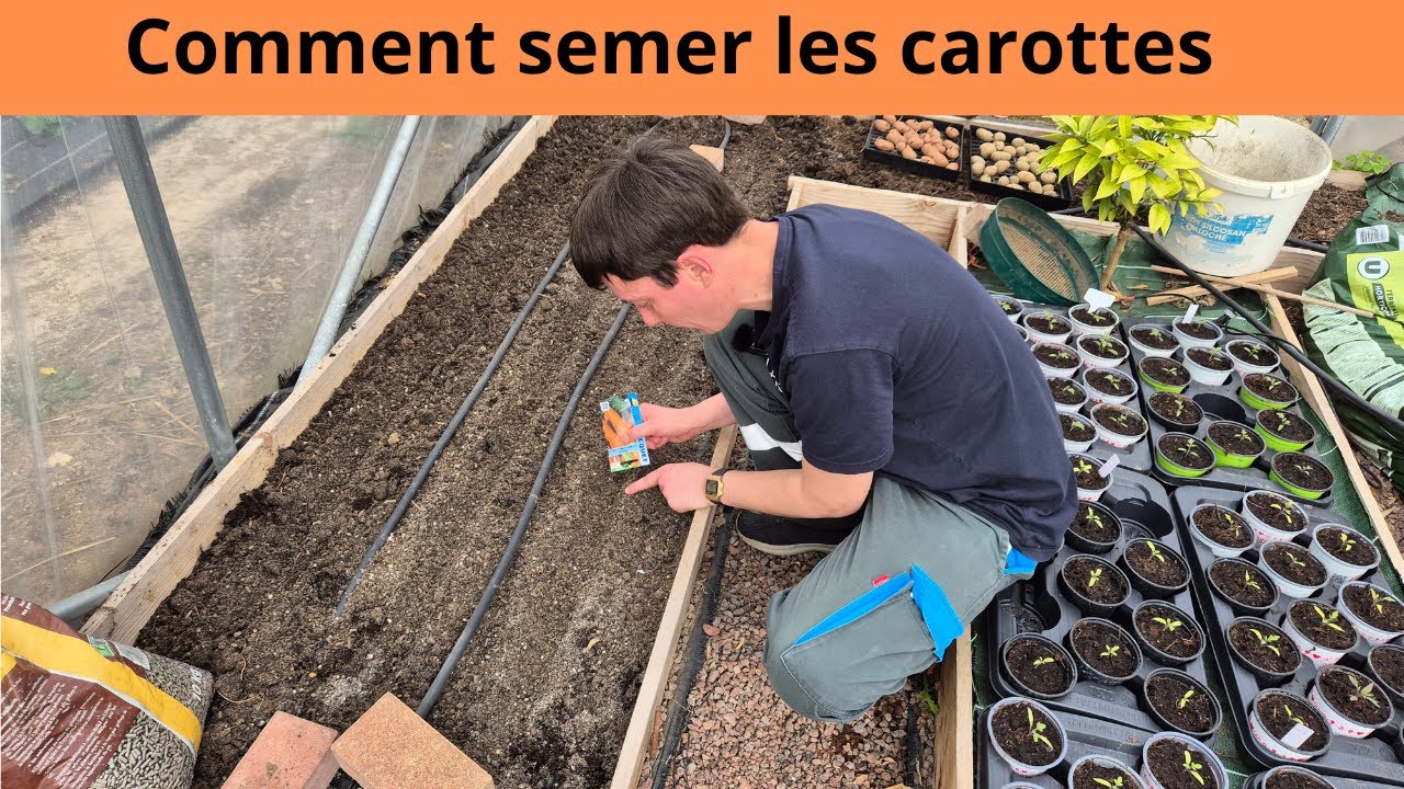 Comment semer les carottes au potager - YouTube
