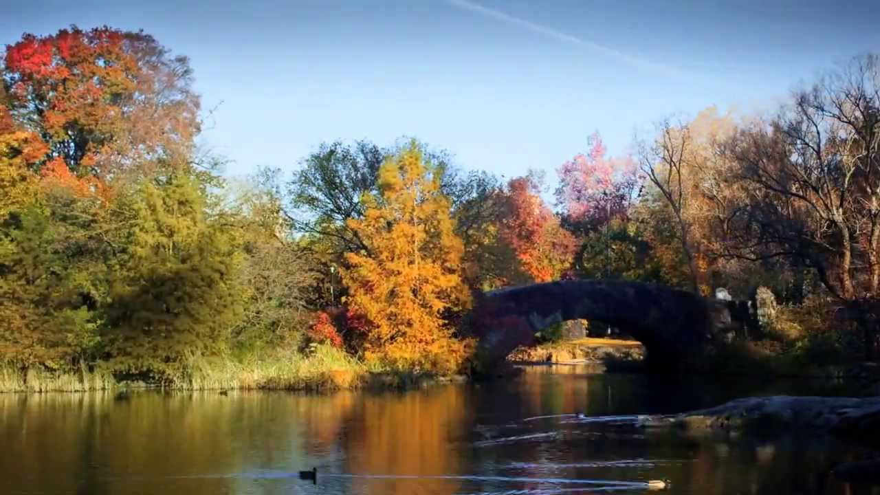 Timelapse fall Colors In Central Park YouTube timelapse-fall-colors-in-central-park-youtube