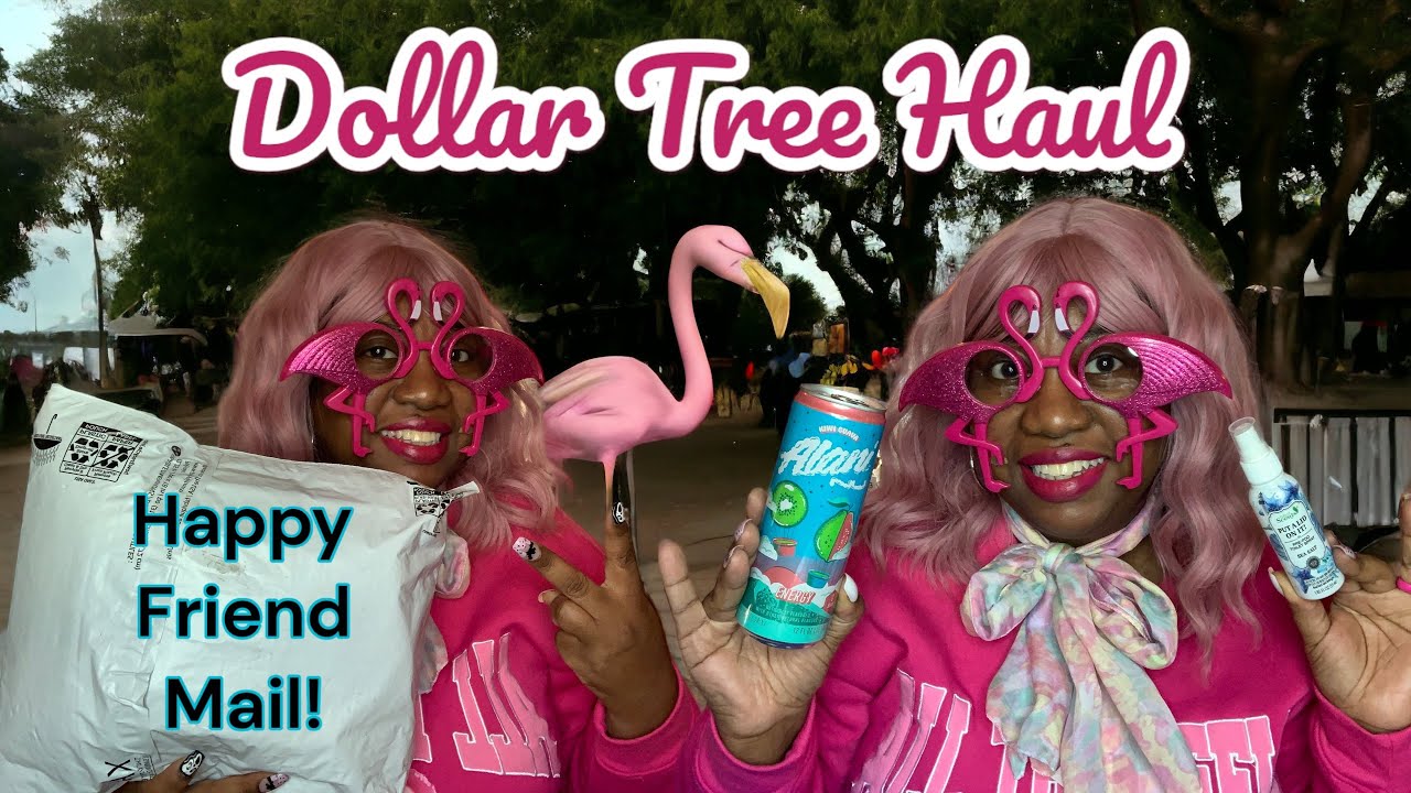 🦩Wacky Wednesday Dollar Tree Haul & More!! #whatsthewordwackywednesday ...