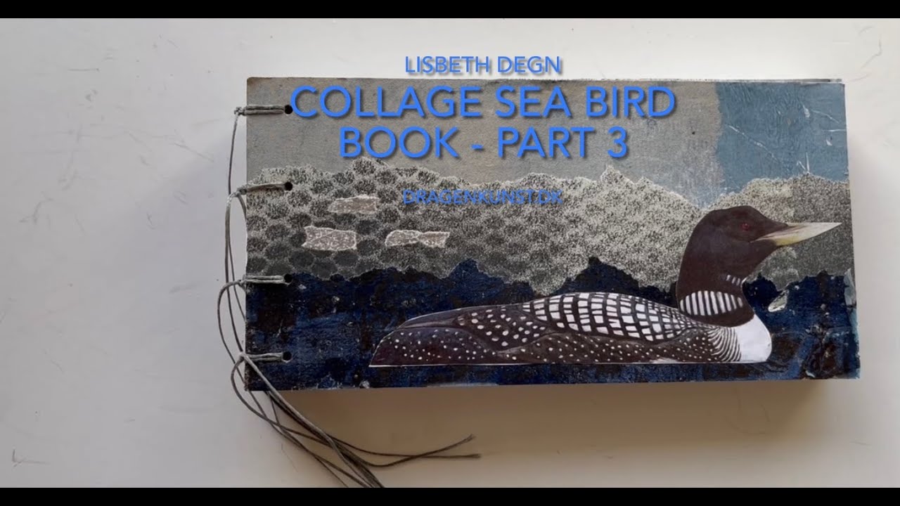 Collage Sea Bird Book - Part 3 - YouTube