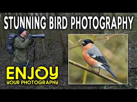This reserve never fails to deliver stunning wildlife shots | Bird Photography at Pennington Flash