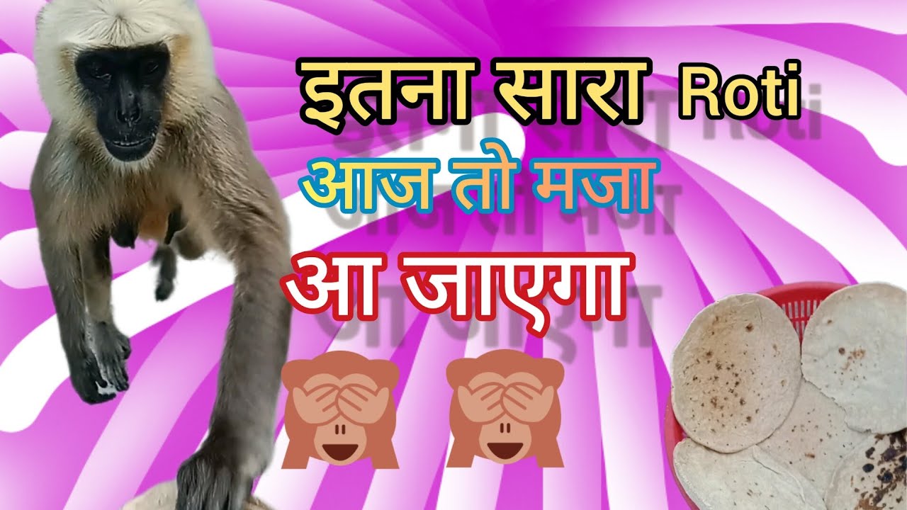 hanuman | hanuman ji ne Kaye bahut sare roti | monkey video | funny ...