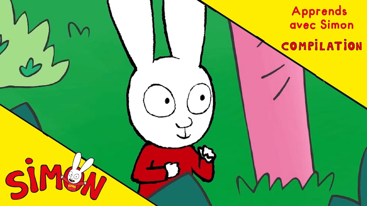 Simon *Compilation* Apprendre avec Simon : Animaux de la forêt, de la ...