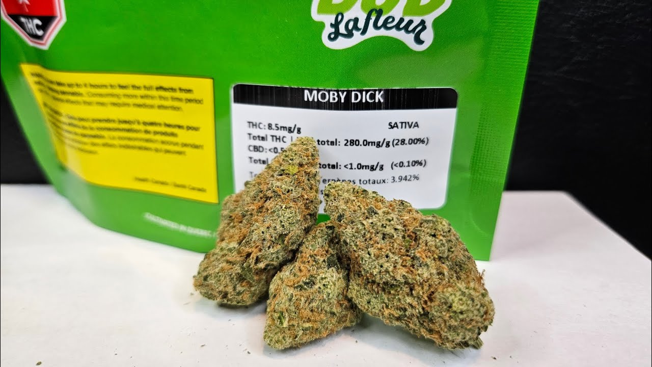 Strain Review Moby Dick By Bud Lafleur - YouTube