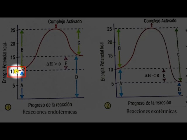 Diagrama De Energía De Activación Exotérmica