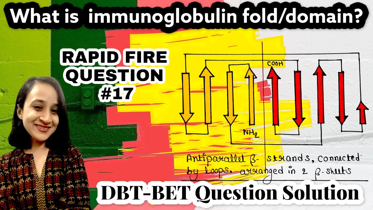 Immunoglobulin fold | Immunoglobulin domain | DBT BET JRF Question ...