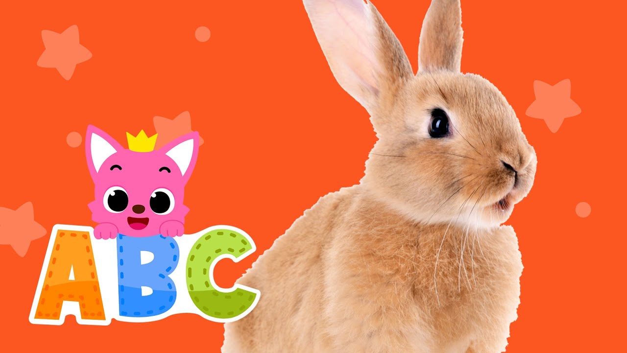 Learn ABCs with Pinkfong: Rabbit, Piranha, Horse | Wild Animal Names ...