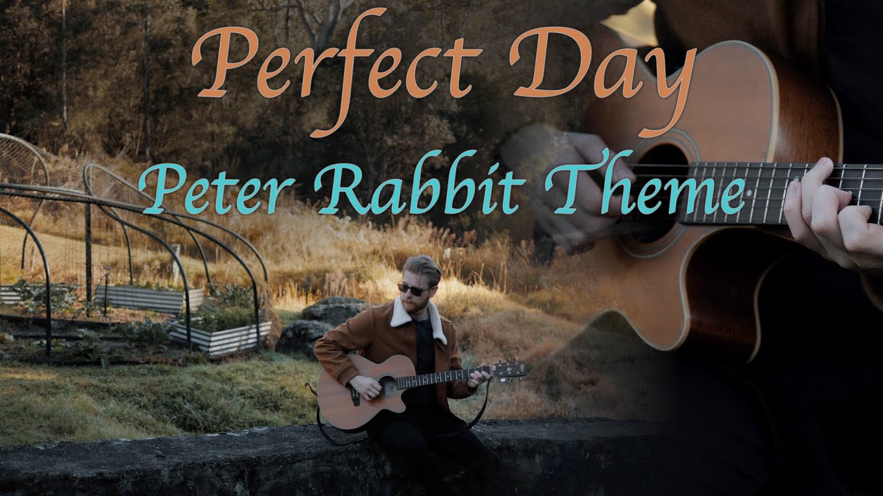 Perfect Day - Miriam Stockley (Peter Rabbit) Fingerstyle Guitar Cover ...