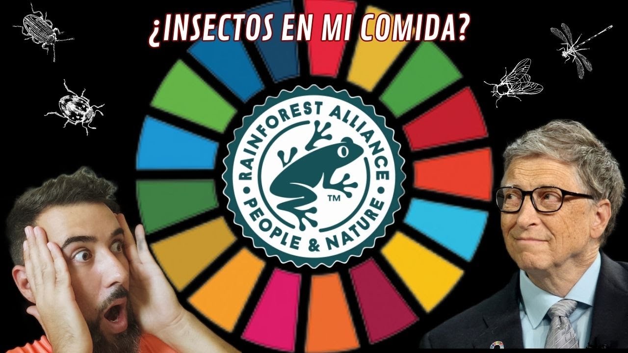⚠️¿Meten INSECTOS en Mi Comida? | 😱El Sello de la Rana, Rainforest ...