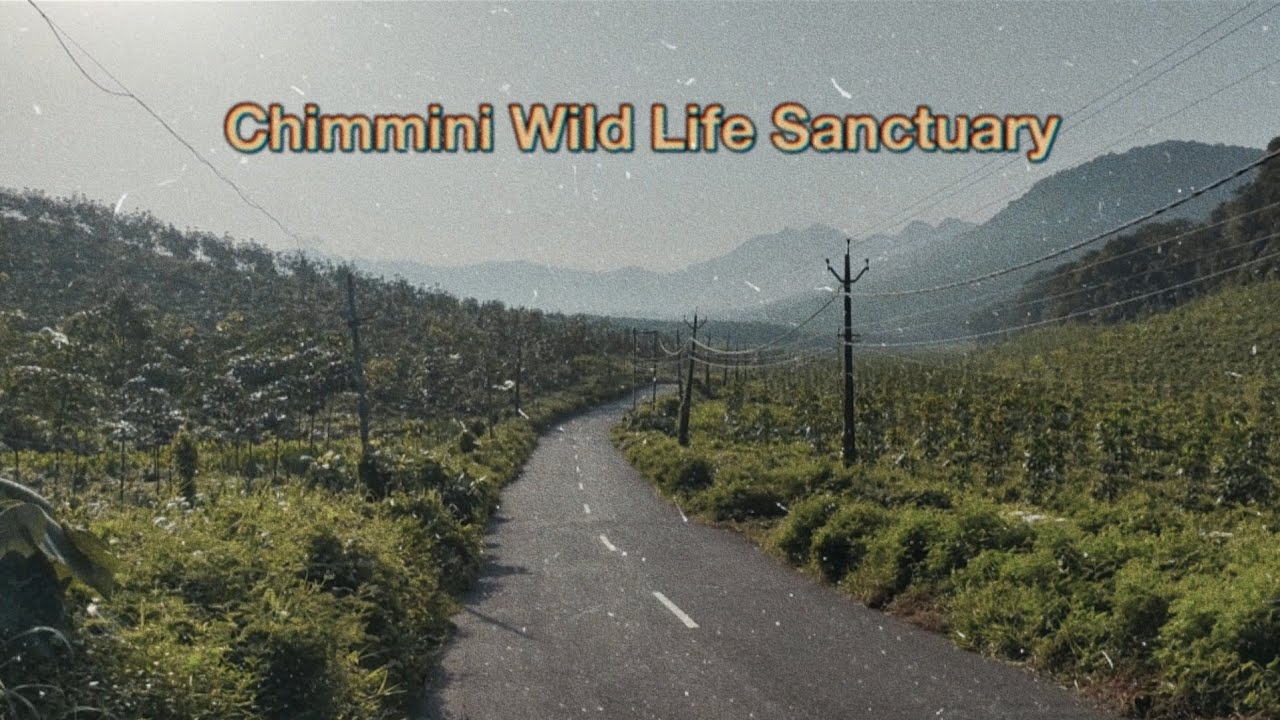 A Road that all Riders Enjoy // Featuring Chimmini Dam // Apache 160 ...