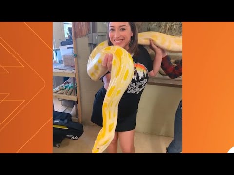 TEETH OF WILD BEAST ⚠️🐍 - YouTube