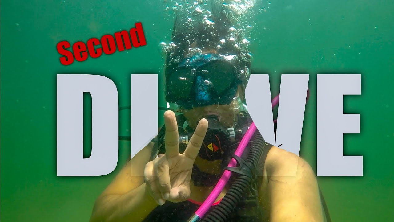 DIVING And STUNT DRIVING All In One Day?! - YouTube