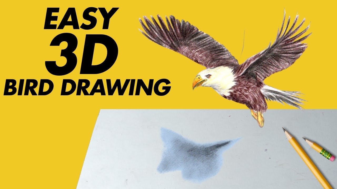 How to Draw a 3D Bird | Easy Step-by-Step Pencil Sketch & Shading ...