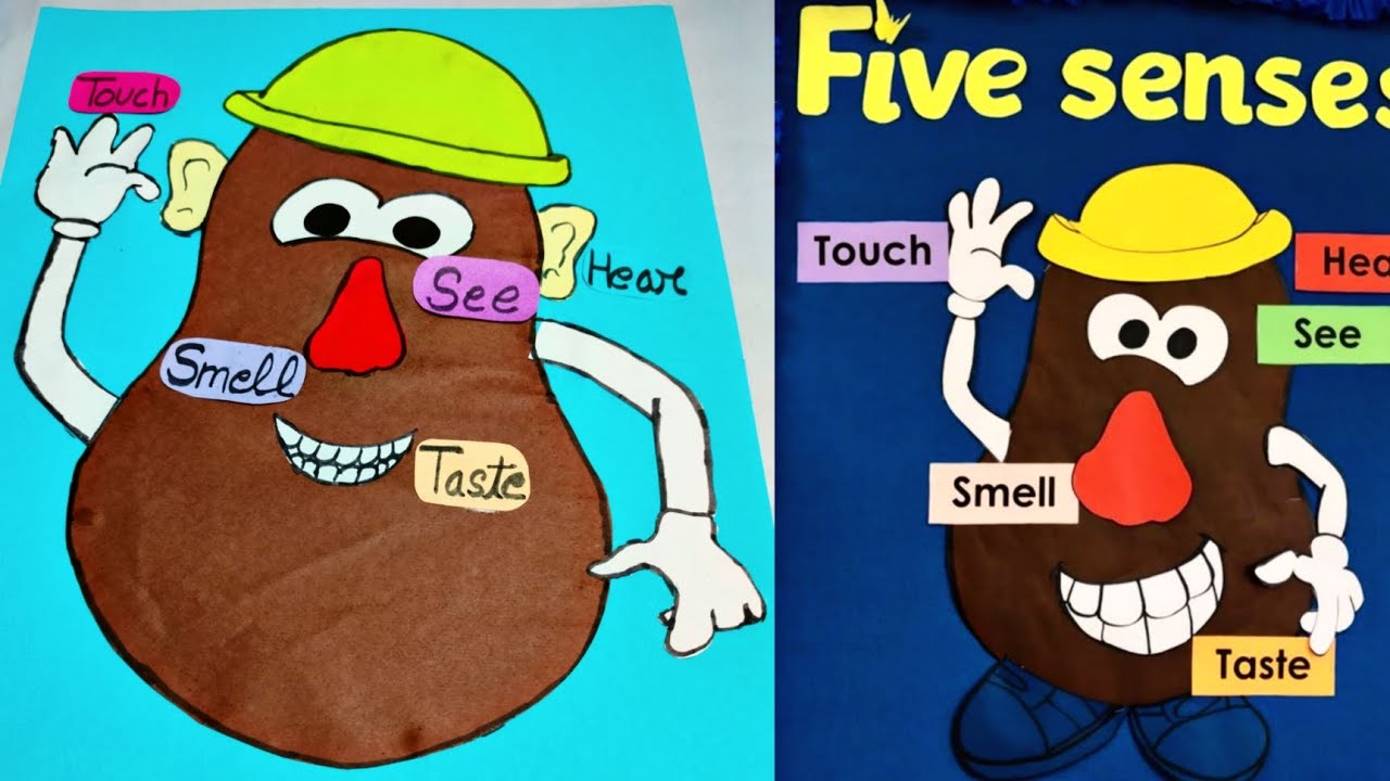 5 Senses | five sense organs tlm | sense organs model | science tlm ...