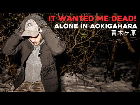 The Night I NEARLY DIED while Camping ALONE in the HAUNTED JAPANESE SUICIDE FOREST | AOKIGAHARA 青木ヶ原