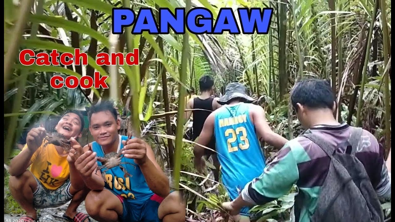 PANGAW (traditional crab catching) CATCH AND COOK MUD CRAB #boholvlog # ...