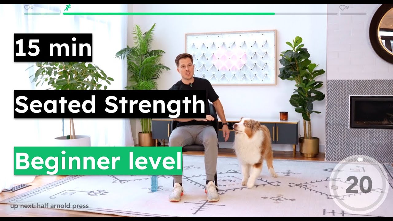Cardiac rehab at home - 15 min Seated Strength Workout - Beginner level ...