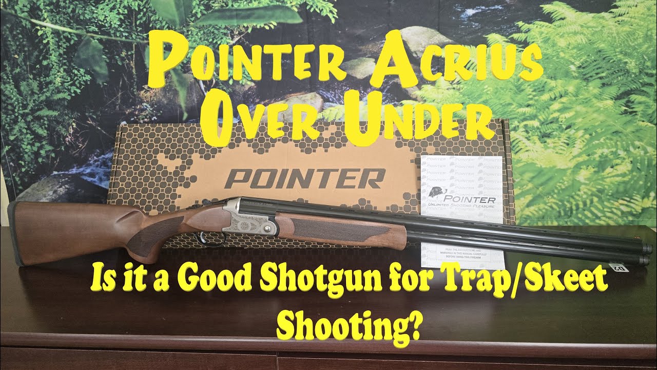 Pointer Acrius Blued Walnut 12 Gauge 3in Over Under Shotgun - 28in - YouTube