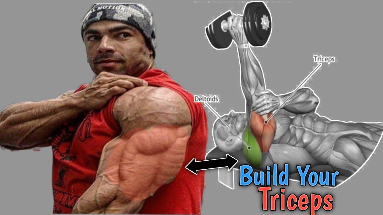 Best Triceps Cutting Workouts | ERORLIFE - YouTube