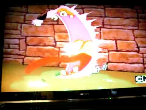 Courage's Loudest Scream - YouTube
