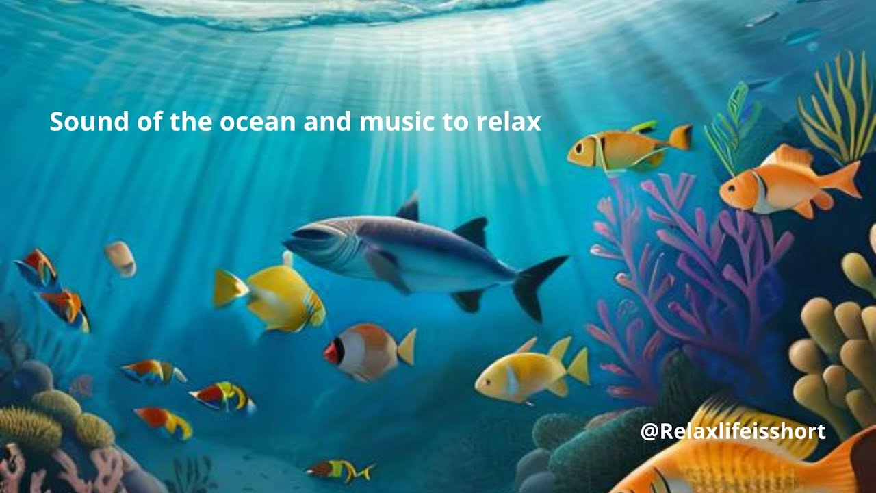 Ocean Melodies: Serene Sea Waves and Enchanting Music for Relaxation ...