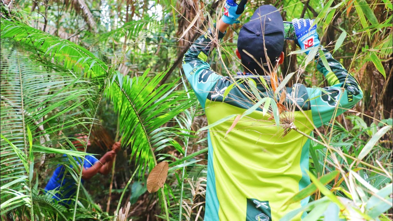 Video035 រៀនធ្វើម្ហូបព្រៃតាមបងប្អូនព្រៃឡង់ How to make a cook with Prey ...