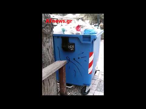 ΣΚΟΥΠΙΔΙΑ & ΤΡΟΦΙΜΑ ΠΕΤΑΜΕΝΑ - YouTube