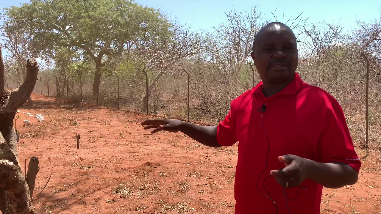 Water/solar project in Mutomo, Kenya - YouTube