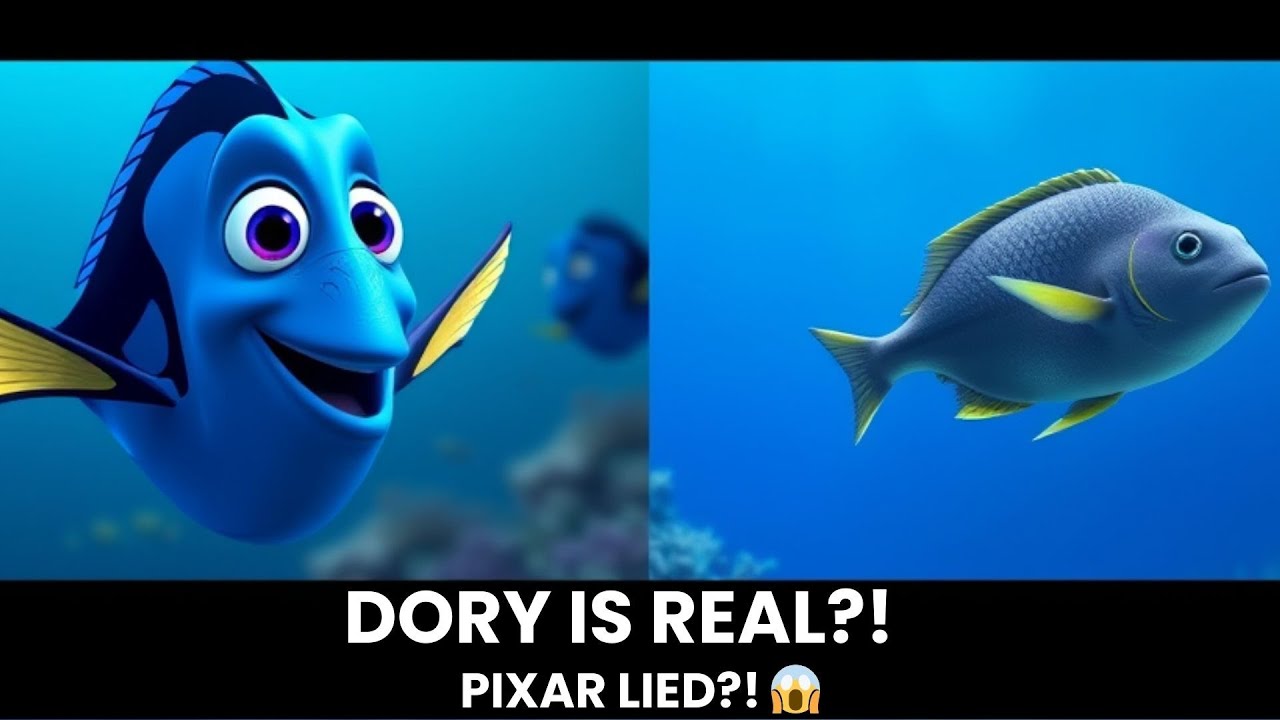 DORY IS REAL?! 🐠 The Fish Behind Finding Nemo - YouTube