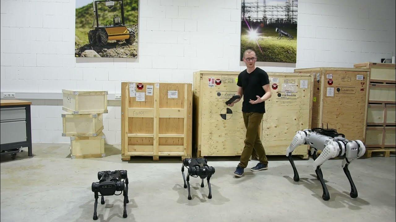Unitree A1 | Go1 | B1 - Vergleich der Roboterhunde (quadruped robots ...