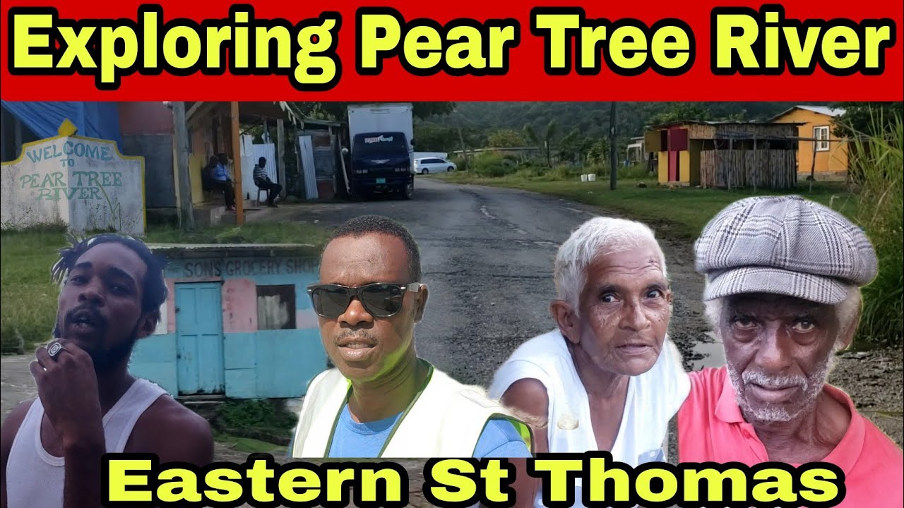 Epic Sunday Evening Walk Through Pear Tree River St Thomas Pt.1🇯🇲🚶‍♂️🇯🇲 ...