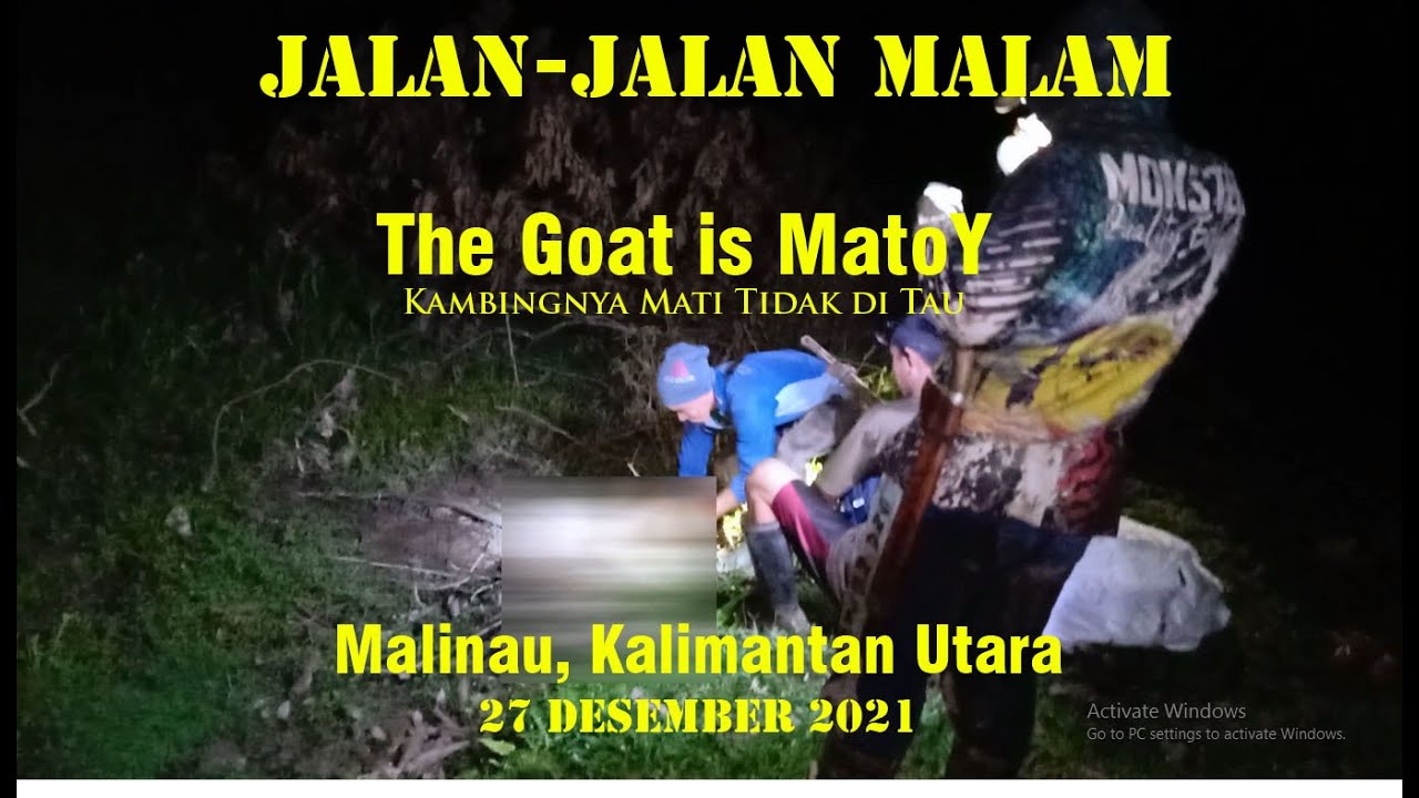The Goat is MatoY - YouTube