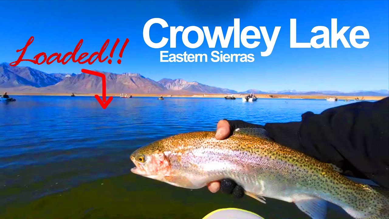 Fall Rainbow Trout Fishing at Crowley Lake. - YouTube