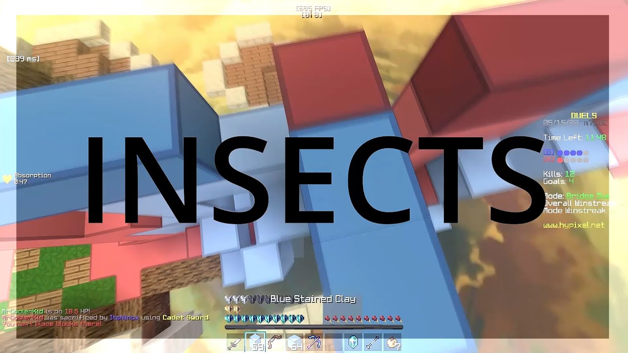 INSECTS (short montage) - YouTube