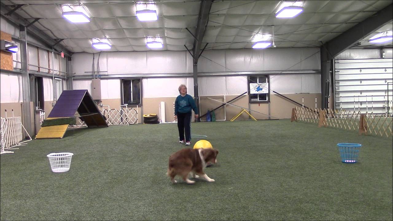 Jan 2 Ruby training clip Lvl3 directional practice - YouTube