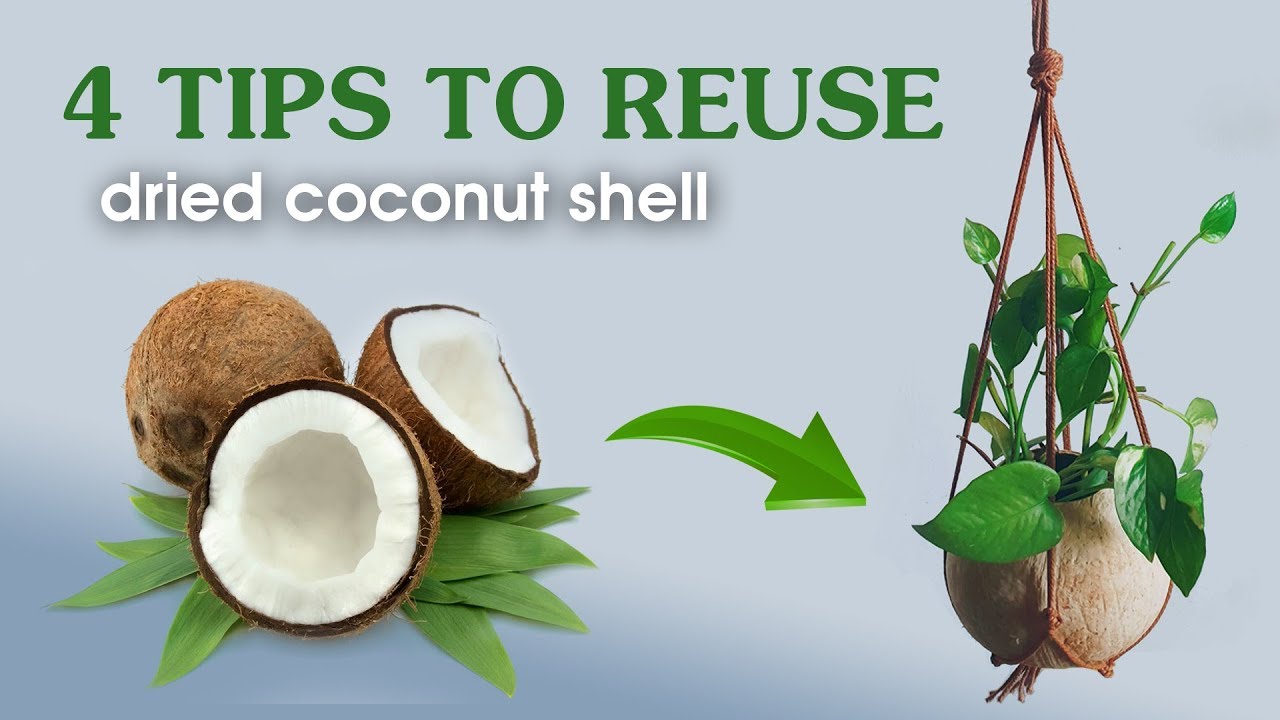 DIY | 4 tips to reuse dried coconut shell (coconut shell craft ideas ...