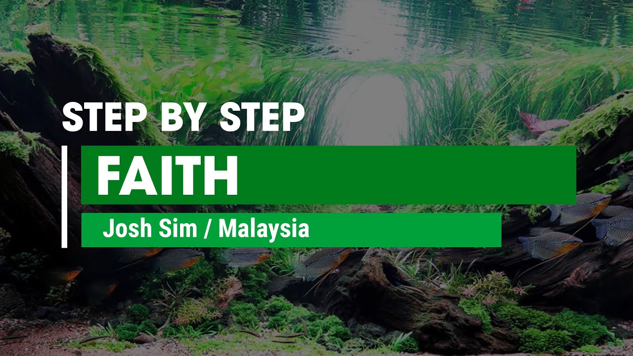 #15 Step by step - Faith - Josh Sim / Malaysia - IAPLC2018 Rank 20 ...
