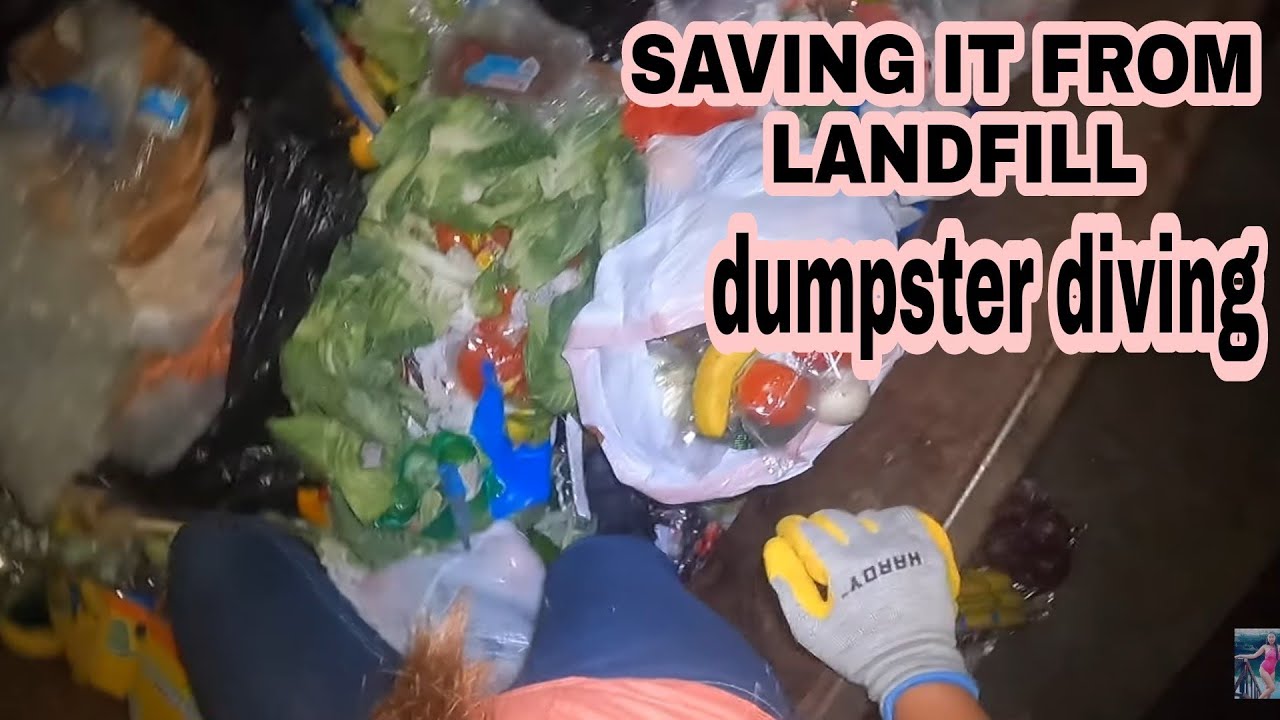 DUMPSTER DIVING ANOTHER NIGHT OF FUN HUNTING DUMPSTER FOODS - YouTube