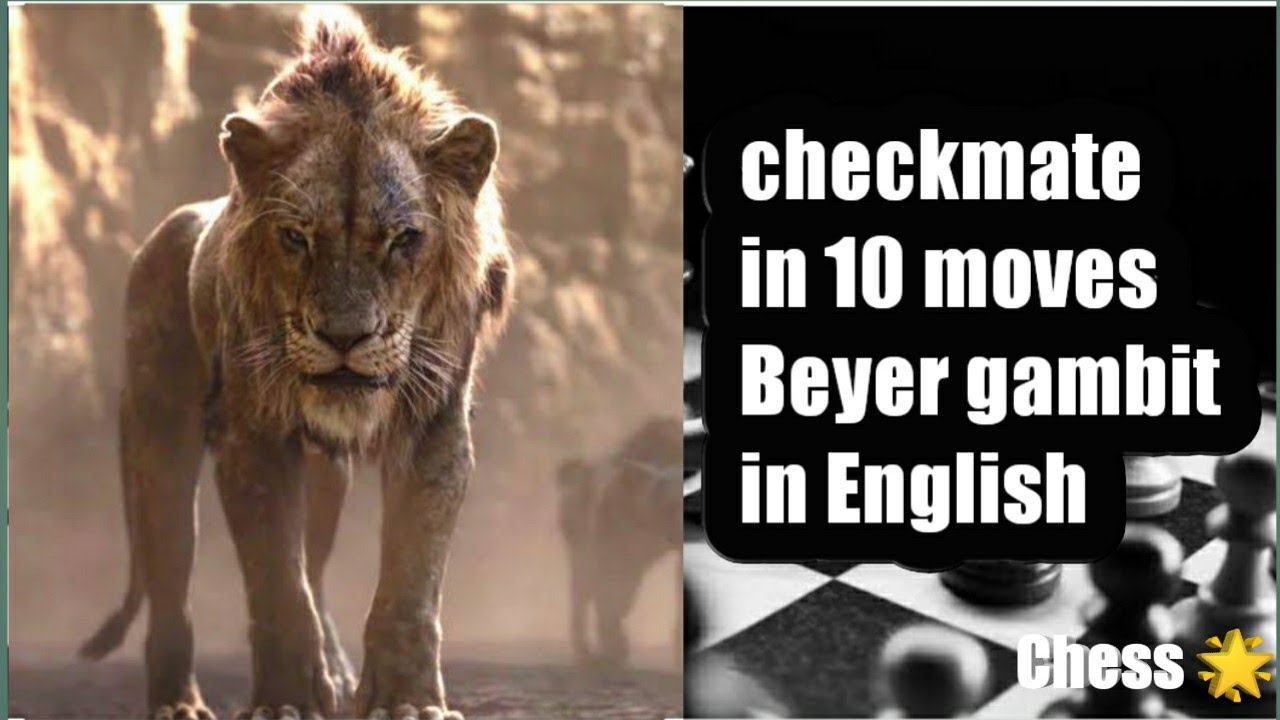 Checkmate in 10 moves Beyer gambit Chess 🌟 - YouTube