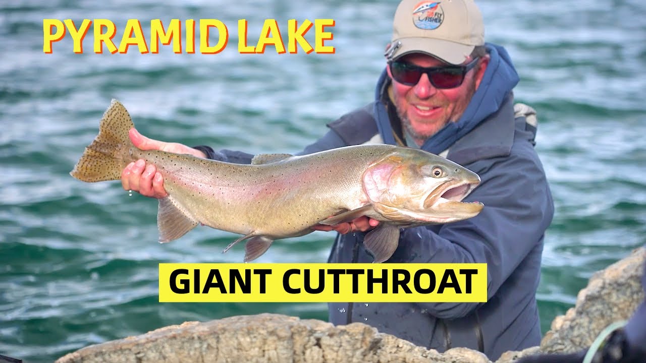 Pyramid Lake Giants - YouTube