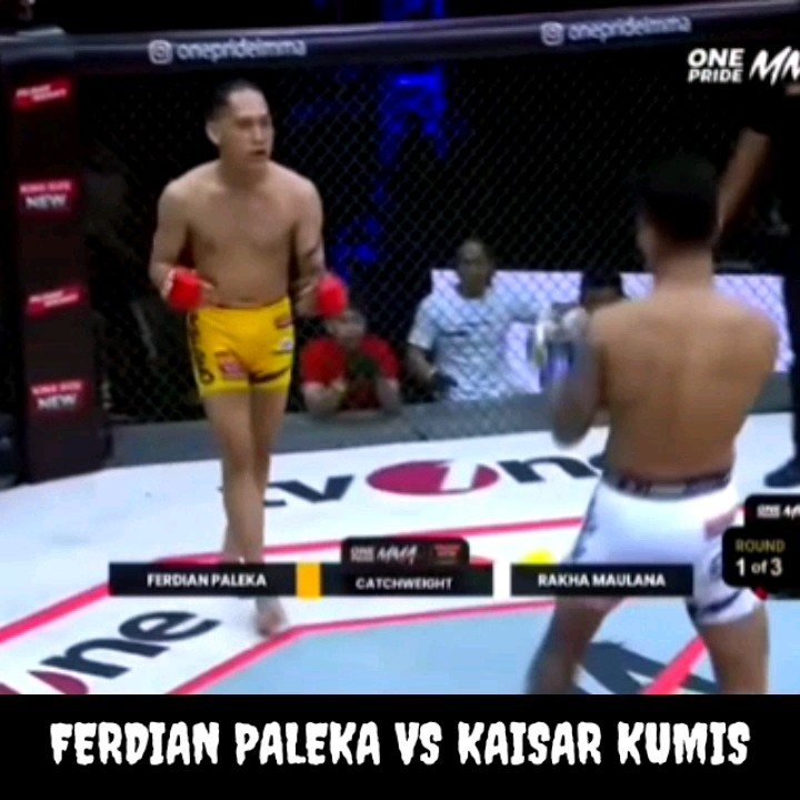 FERDIAN PALEKA VS KAISAR KUMIS #boxing #mma #muaythai #ufc #sports # ...