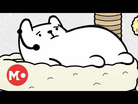 Cat Agent - Red Carpet Purrmiere (S2 E1) - YouTube