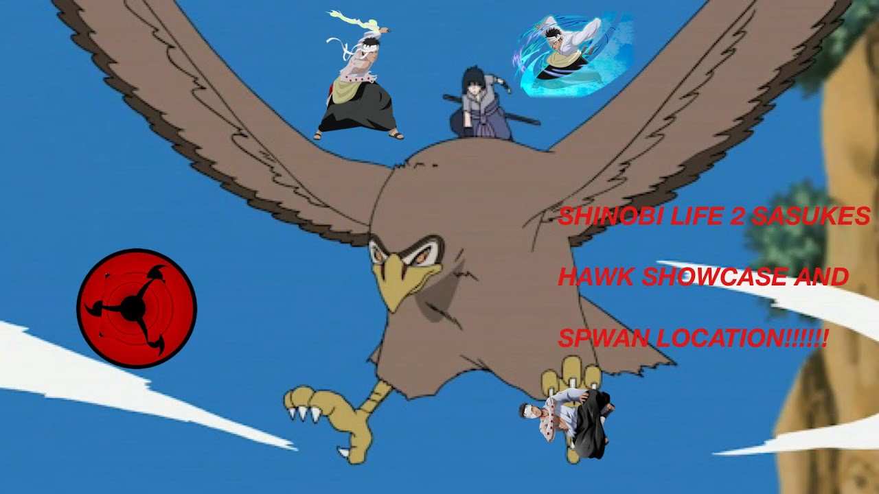 SHINOBILIFE 2 SASUKE'S HAWK SHOWCASE, AND SPAWN LOCATION!!!!!!!! - YouTube