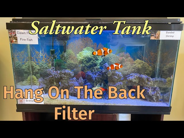 Saltwater Aquarium Filter Setup Tips For Designing A Saltwater