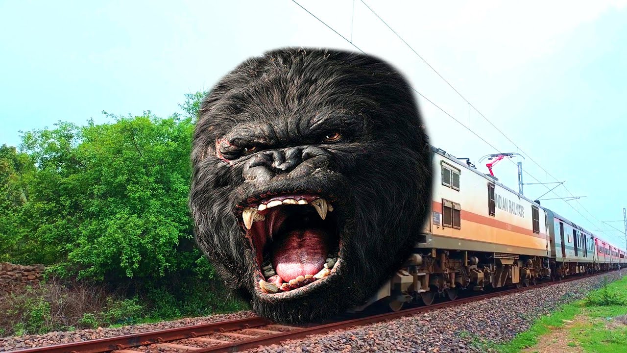 super amazing very nice gorilla train face model - animal funny video ...